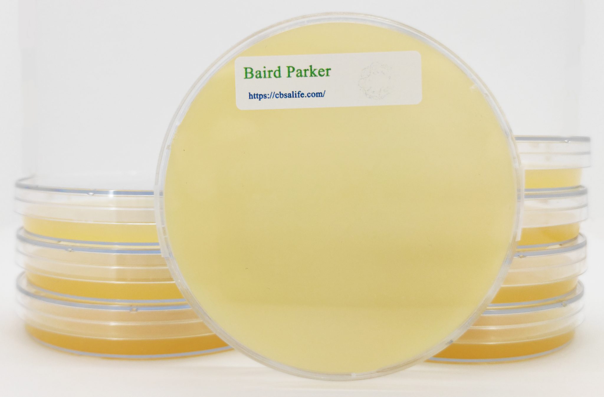 Baird-Parker Agar | CBSAlife