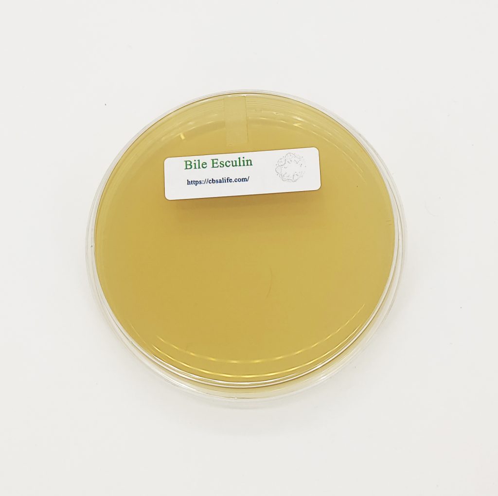 Microbiological Products Archives | CBSAlife