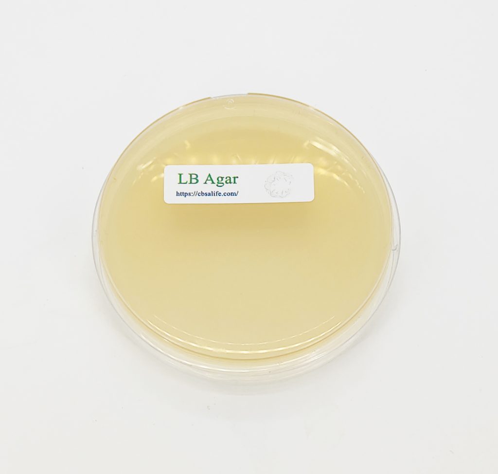 Luria-Bertani (LB) Agar | CBSAlife