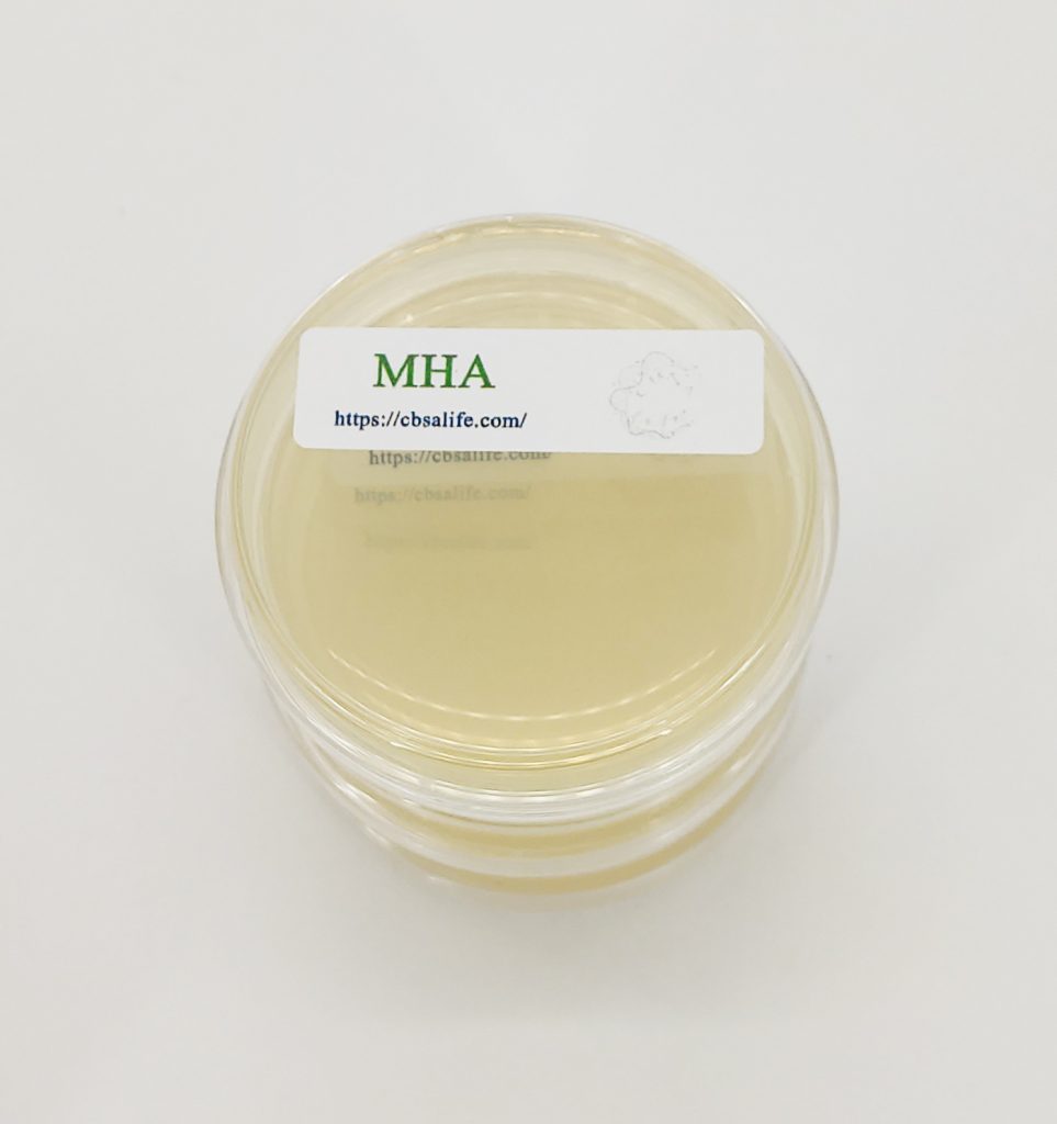Mueller-Hinton Agar | CBSAlife