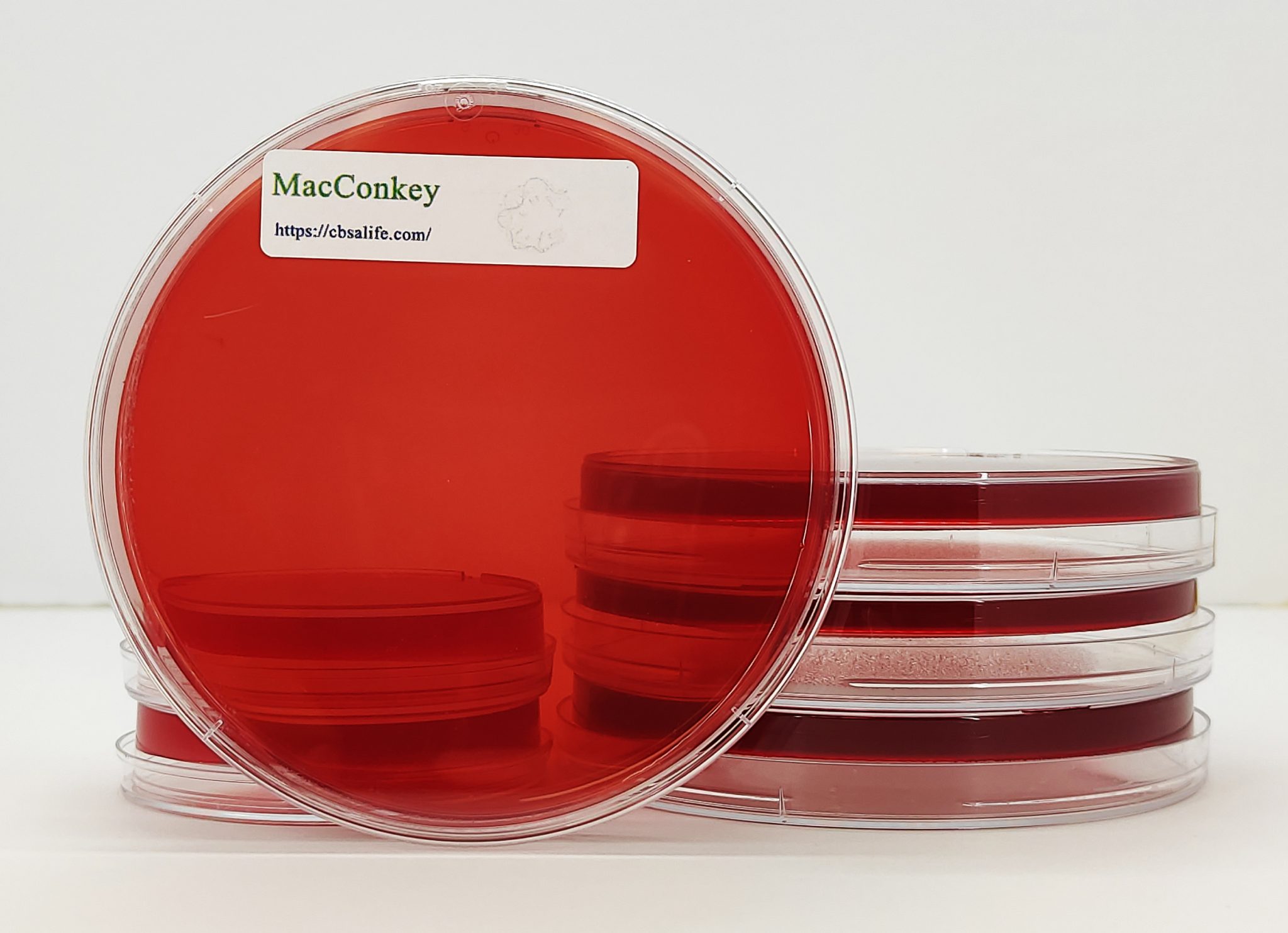 CBSAlife MacConkey Agar | CBSAlife