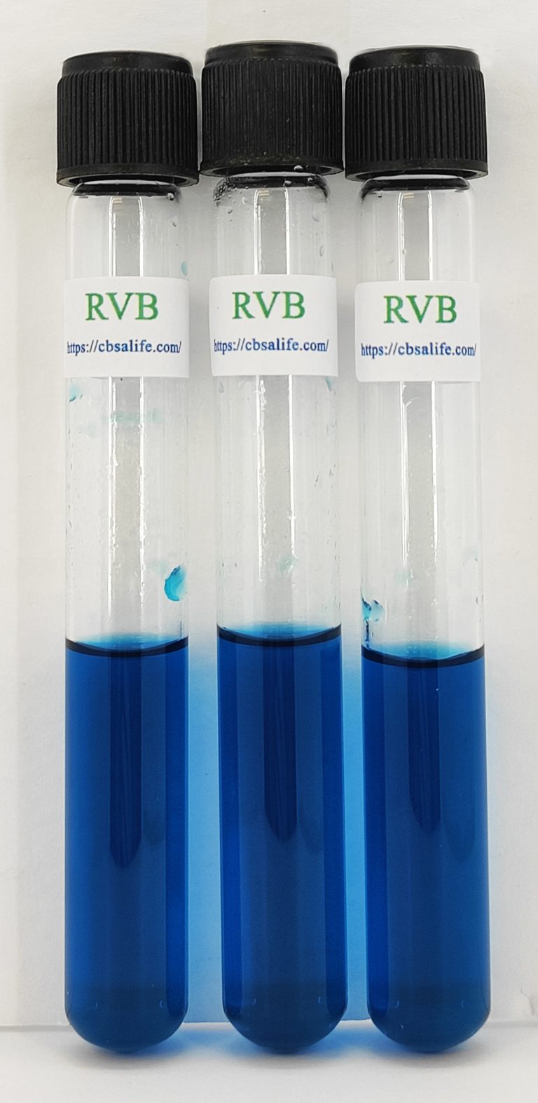 Rappaport-Vassiliadis Broth | CBSAlife