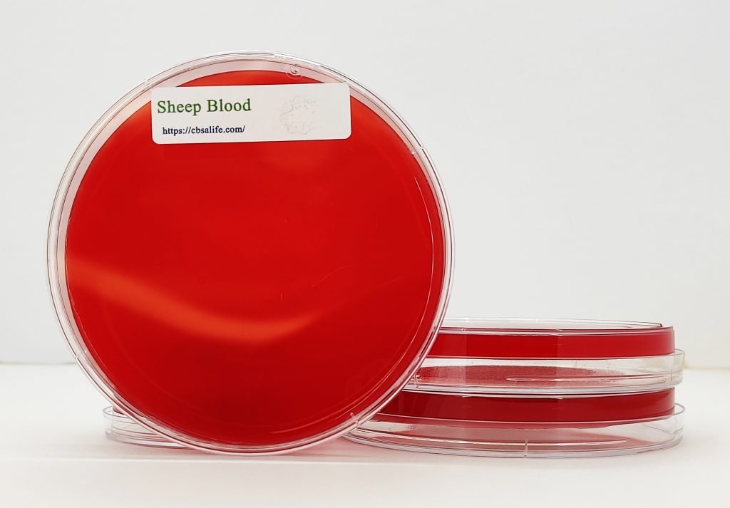 Sheep Blood Agar | CBSAlife