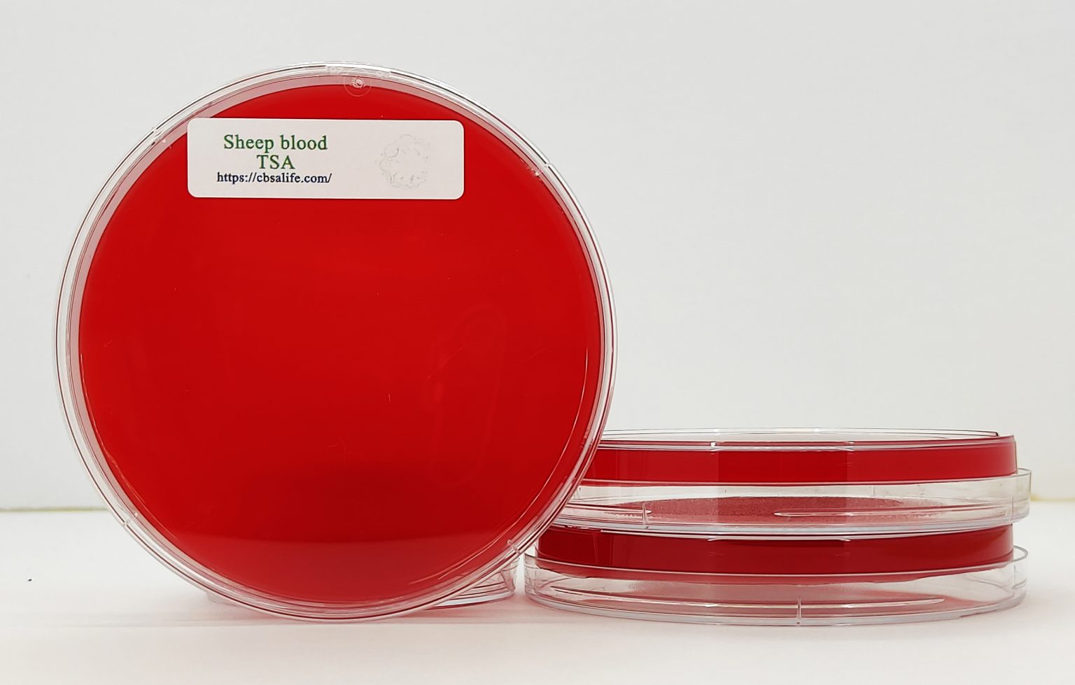Sheep Blood Tryptic Soy Agar | CBSAlife