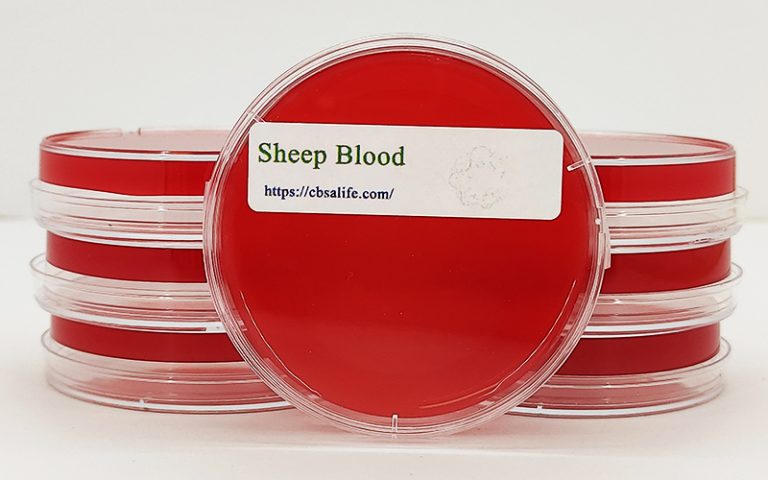 Sheep Blood Agar | CBSAlife
