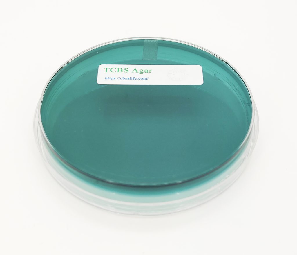 Thiosulfate-citrate-bile salts-sucrose (TCBS) Agar | CBSAlife