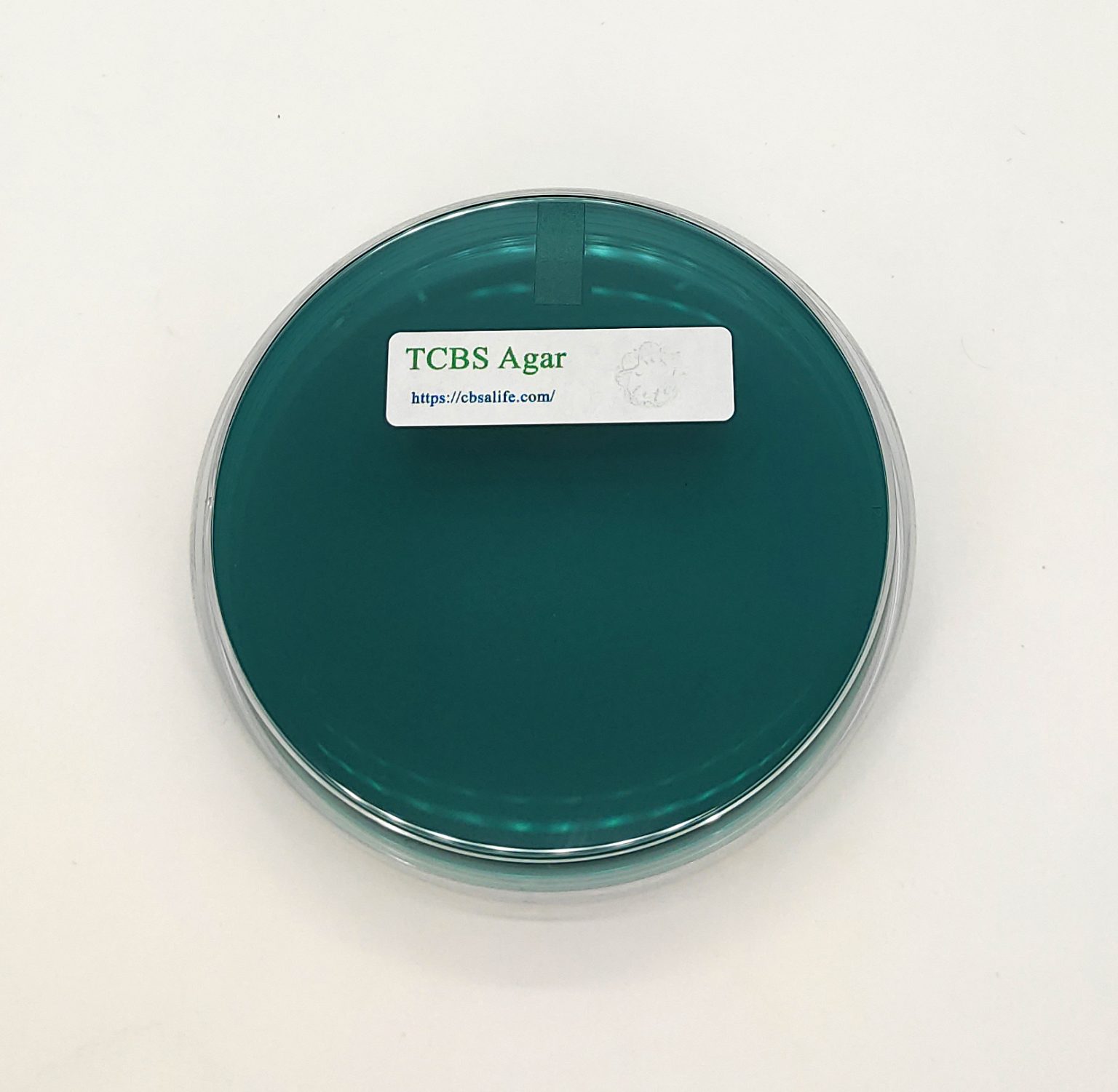 Thiosulfate-citrate-bile salts-sucrose (TCBS) Agar | CBSAlife