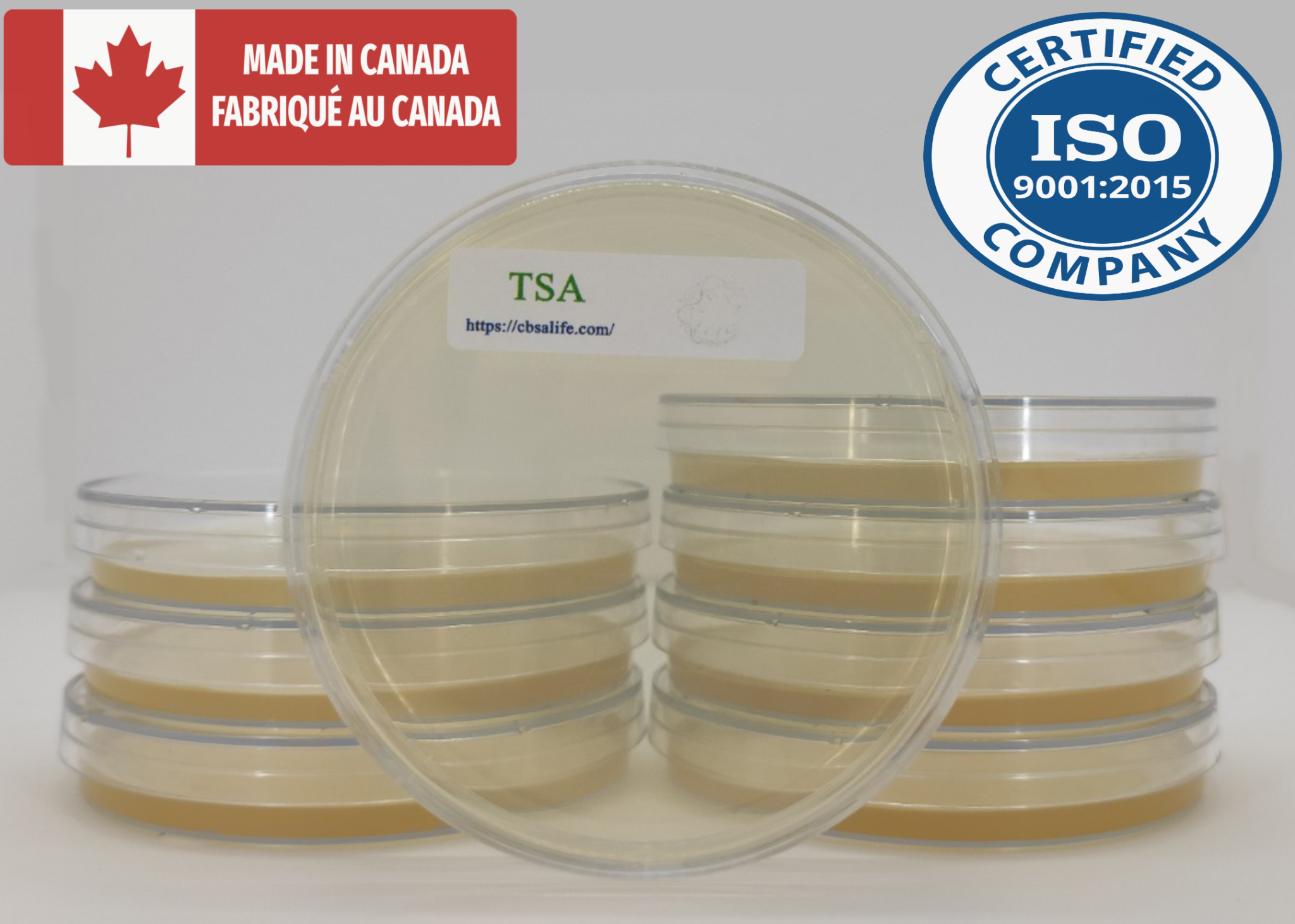 Tryptic Soy Agar (TSA) | CBSAlife