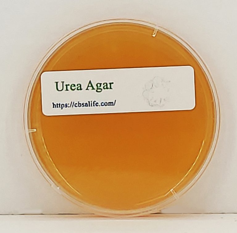 CBSAlife Urea Agar | CBSAlife