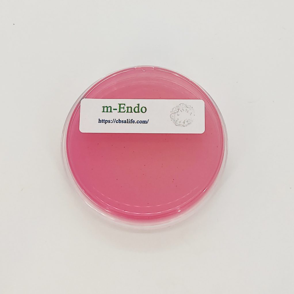 m-Endo Agar | CBSAlife