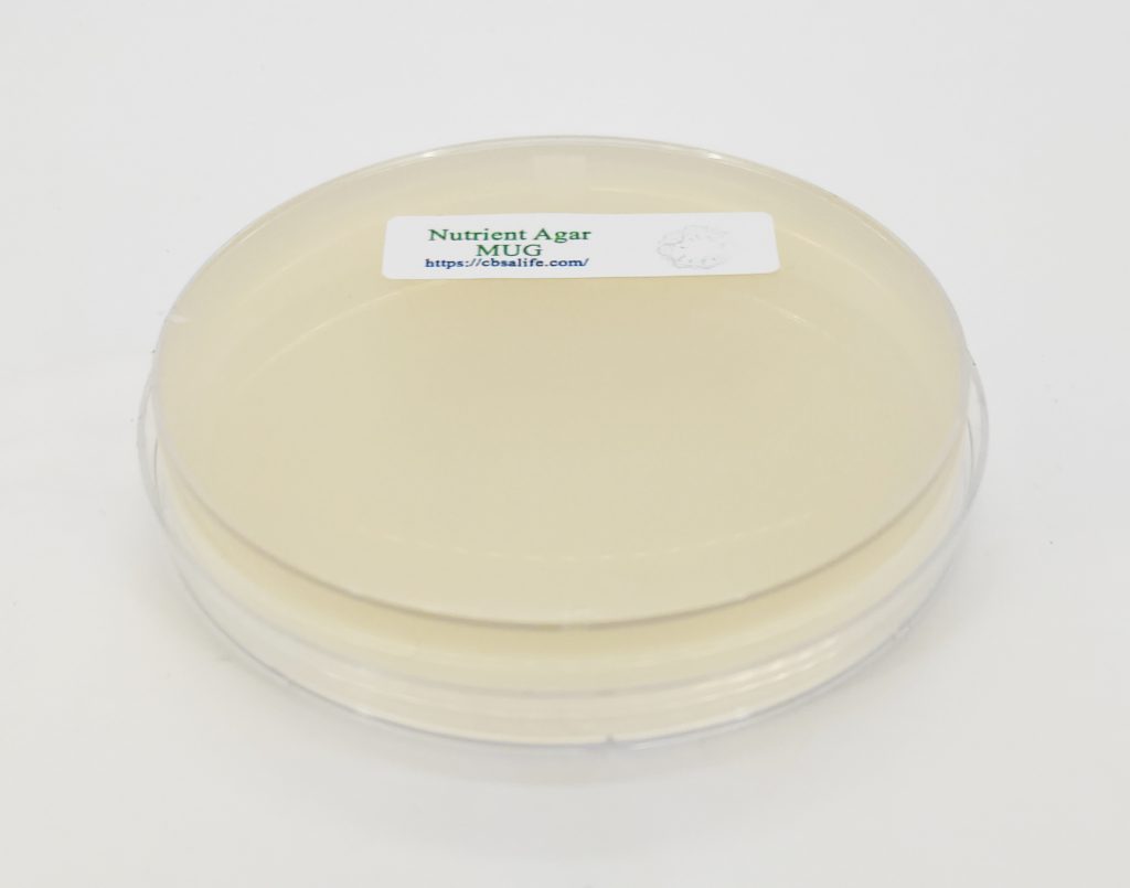 CBSAlife Nutrient Agar with MUG | CBSAlife