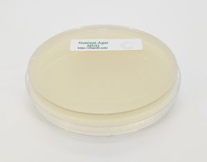CBSAlife Nutrient Agar with MUG | CBSAlife