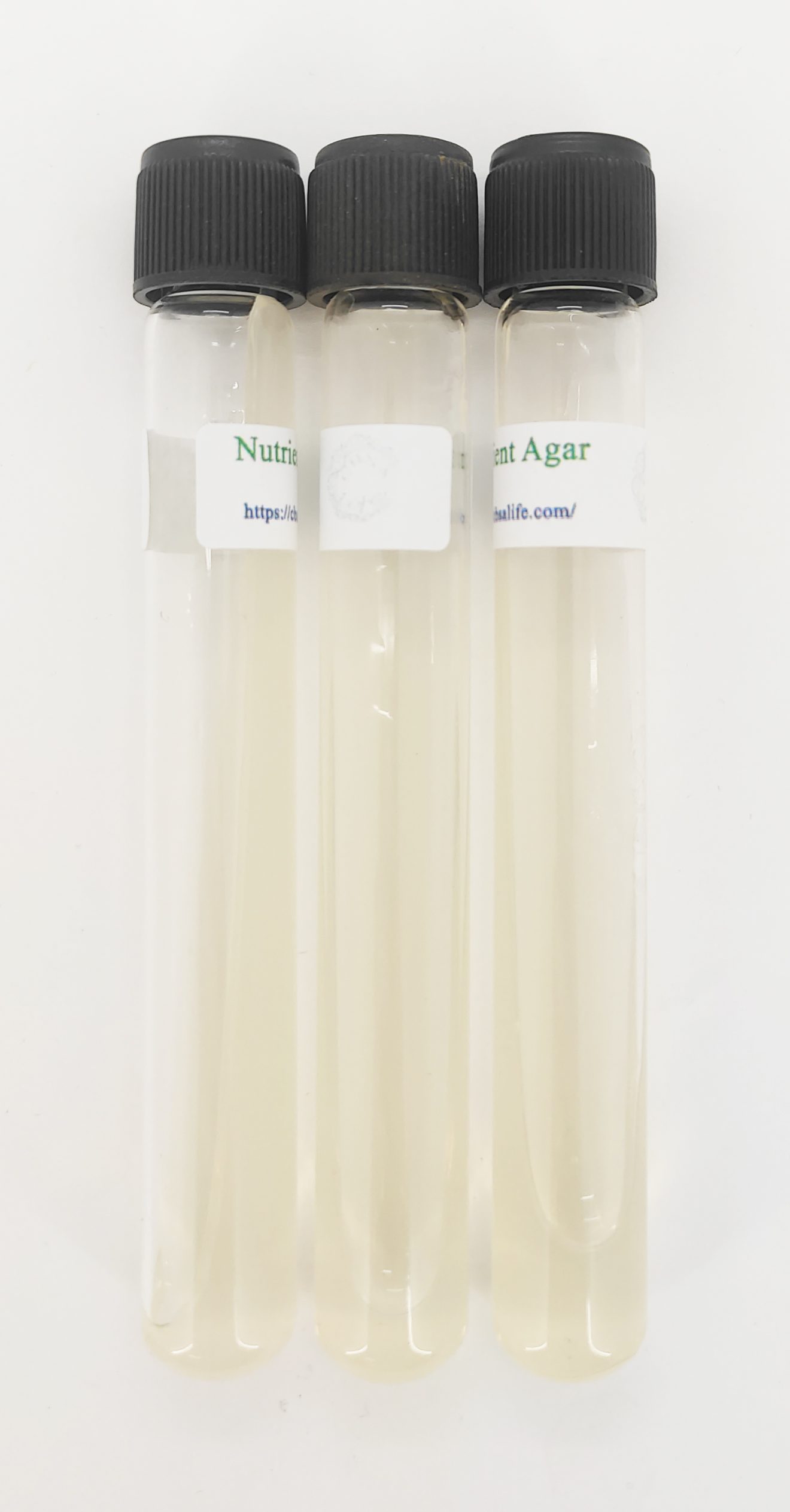 CBSAlife Nutrient Agar Slant Tube | CBSAlife