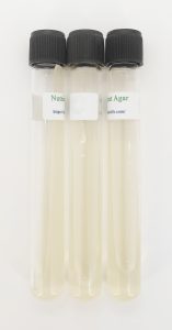 CBSAlife Nutrient Agar Slant Tube | CBSAlife