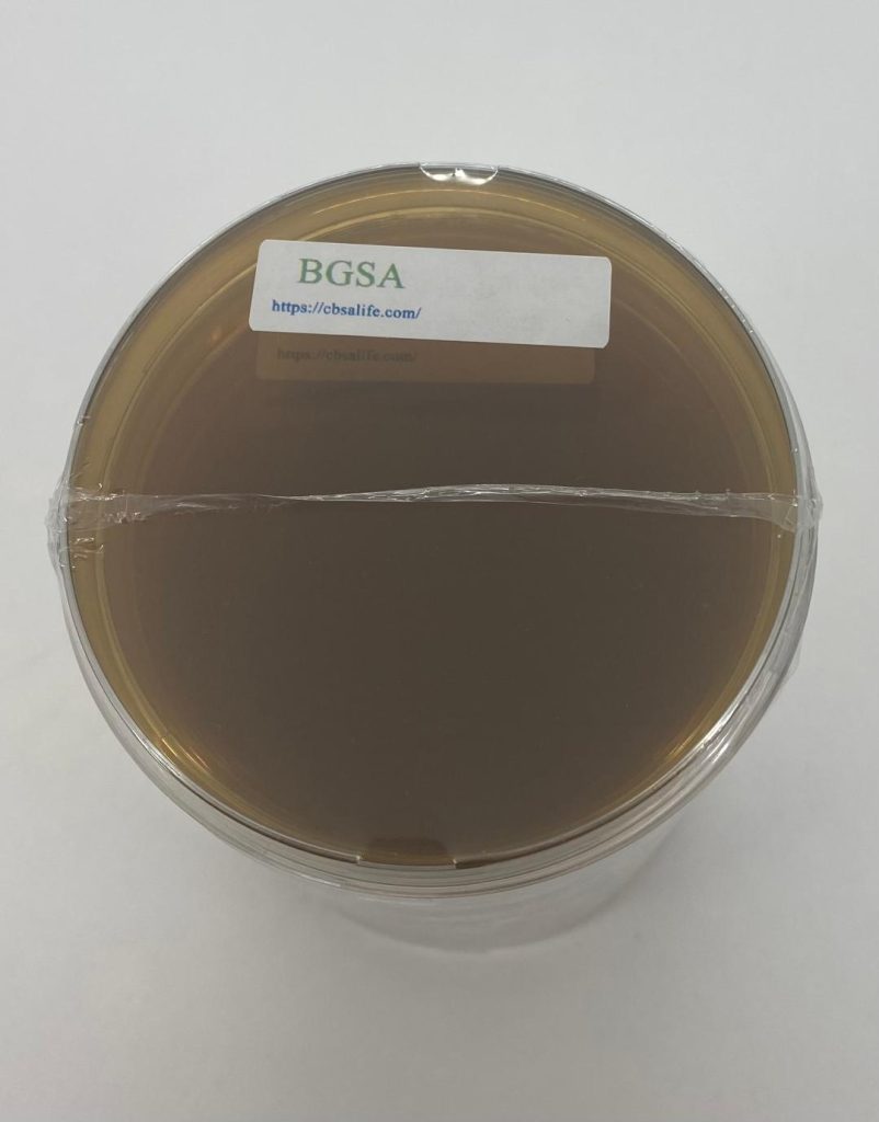CBSAlife Brilliant Green Sulfa Agar | CBSAlife